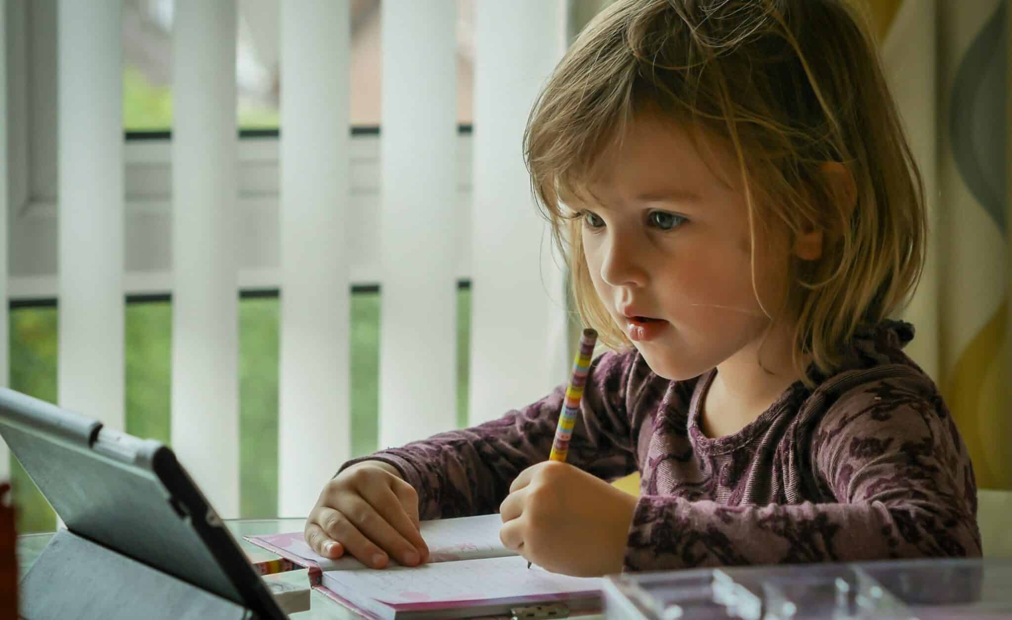 How to Maximise Online Lessons (Tutors & Students) - Learnmate.